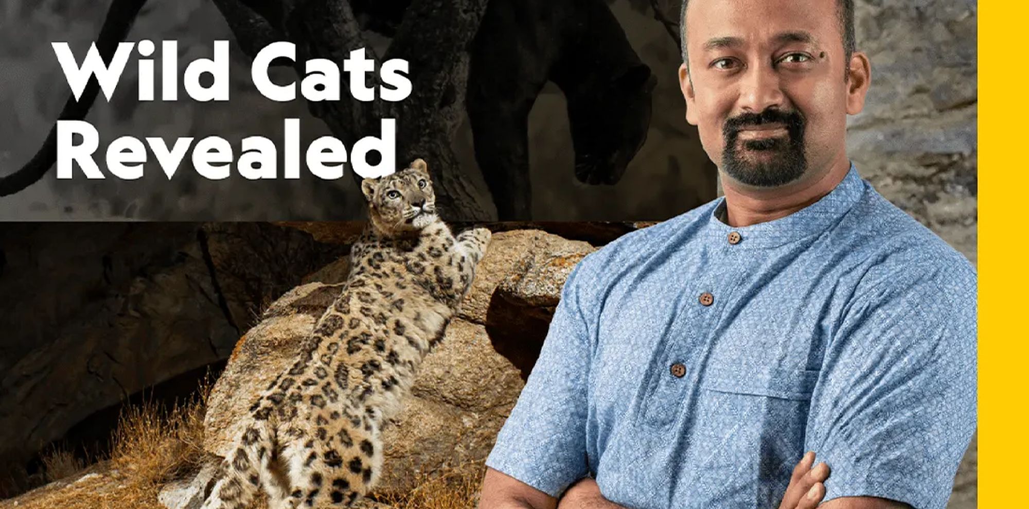 Jan 25: National Geographic Live – Wild Cats Revealed